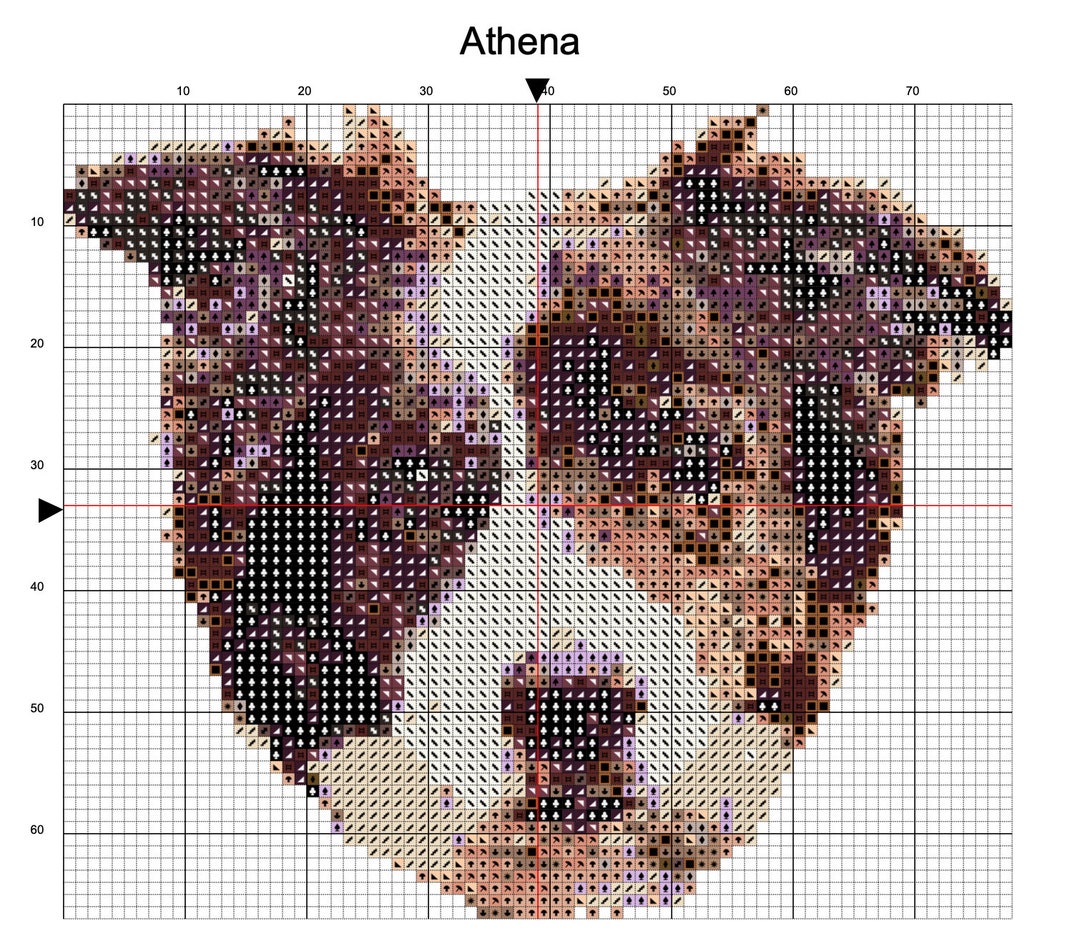 Large Custom Pet Cross Stitch Pattern pattern Only - Etsy