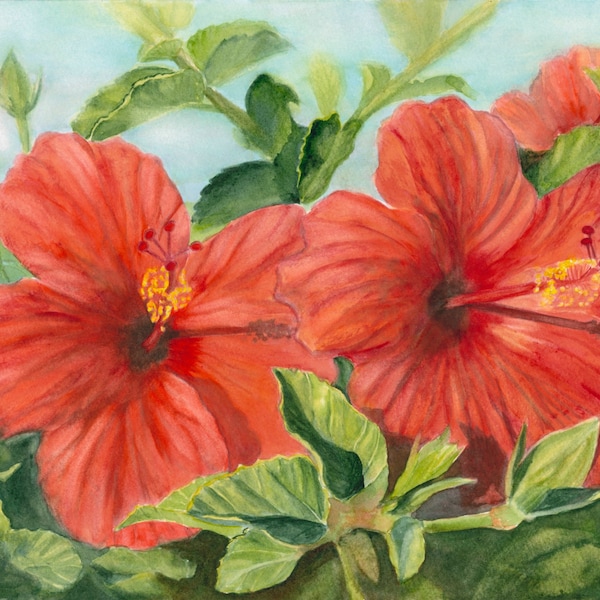 Hibiscus Painting - Etsy