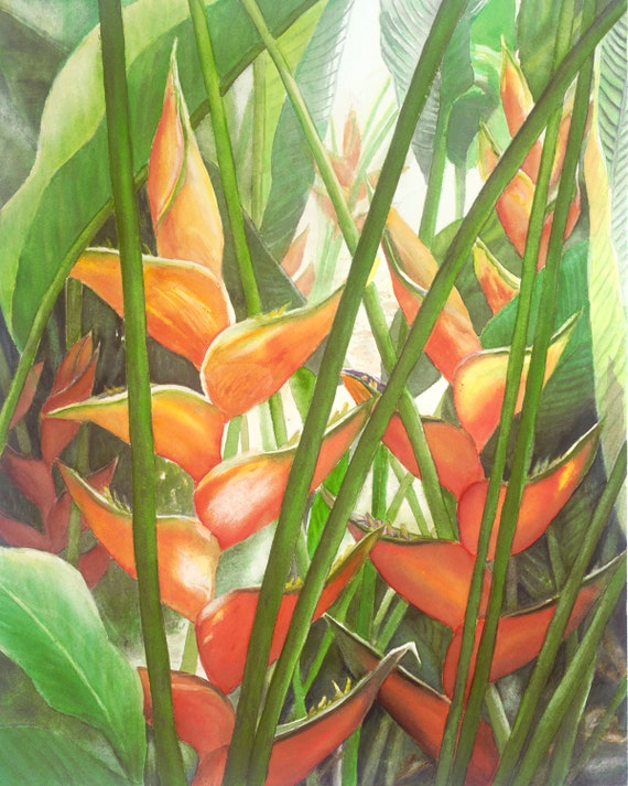 Heliconia Tropical Painting Matted Art Print | Etsy