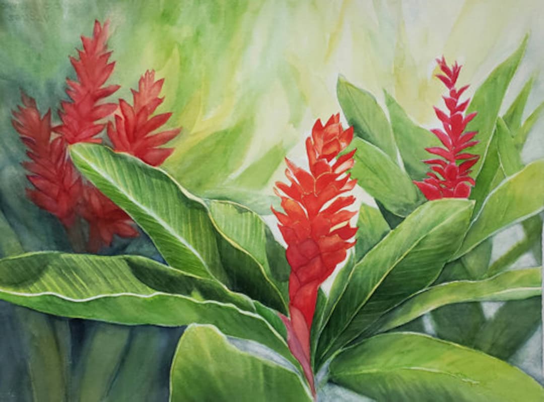 Red Ginger 18 X 24 Hawaii Art Print - Etsy