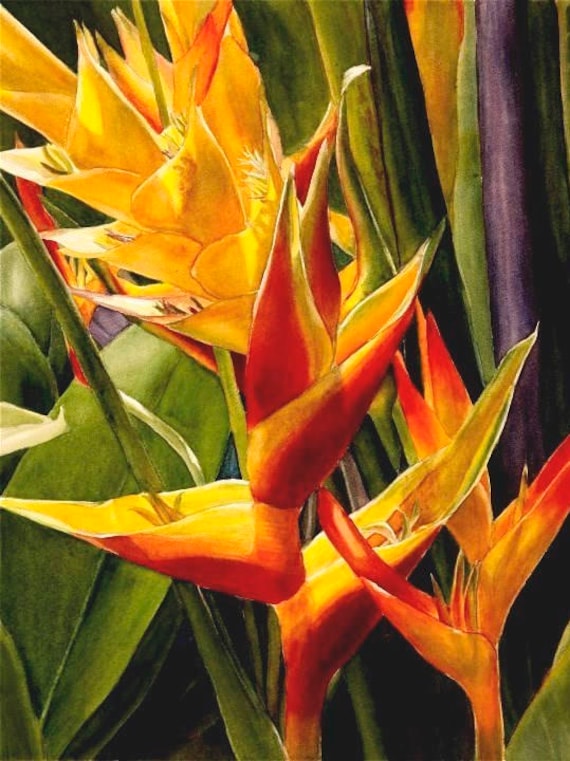 Vertical Heliconia Painting Matted Tropical Art Print - Etsy