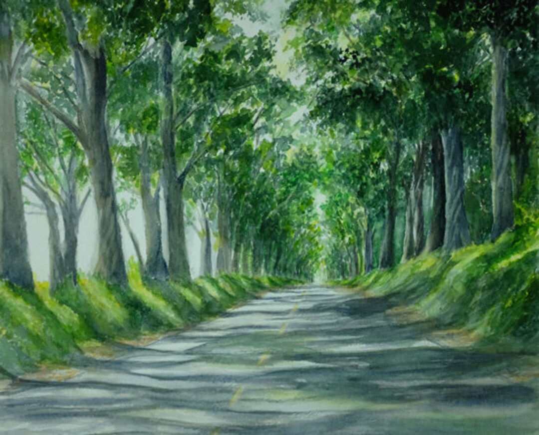 Tree Tunnel 16x20" Art Print - Etsy