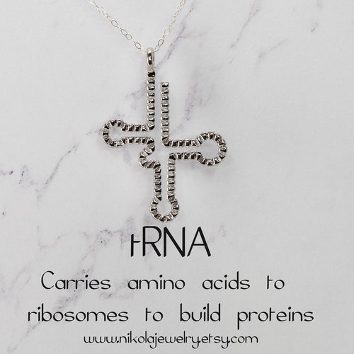 Trna Silver Biology Earrings RNA Jewelry DNA Replication - Etsy