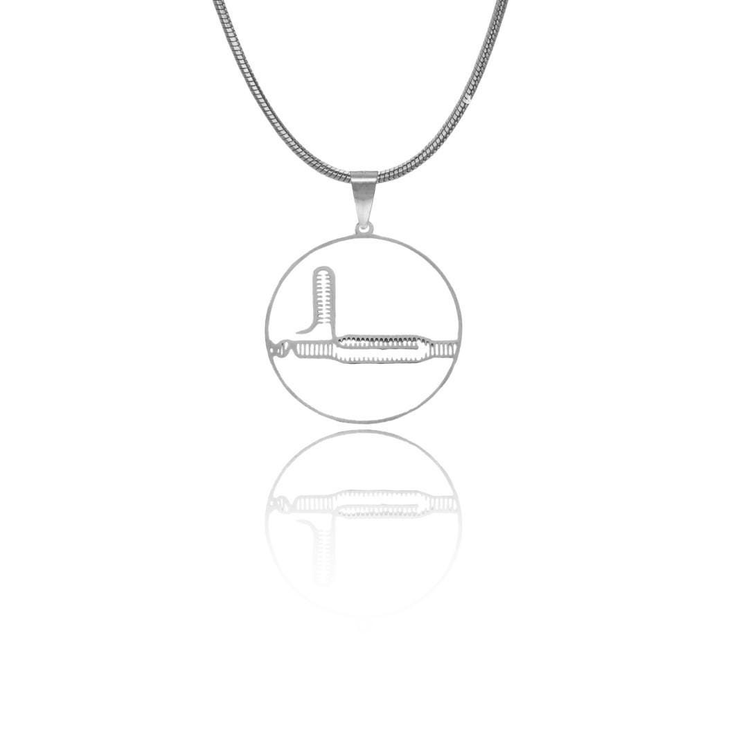 CRISPR Necklace in Gold or Silver, DNA Editing Necklace, Biology Necklace, Science Teacher Gift ...