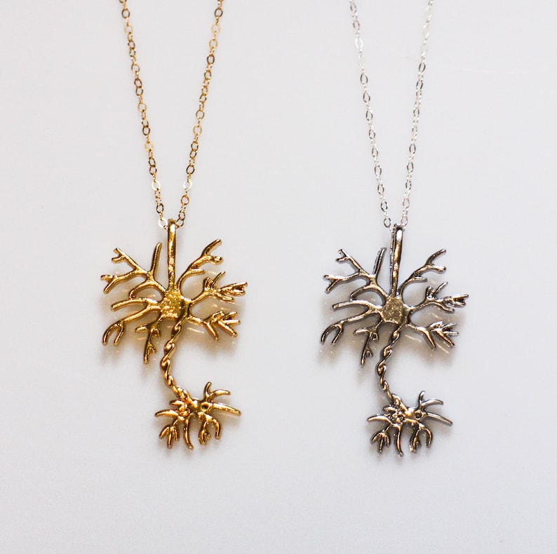 Neuron Necklace: Sterling Silver Science Jewelry, Biology Gift - Etsy
