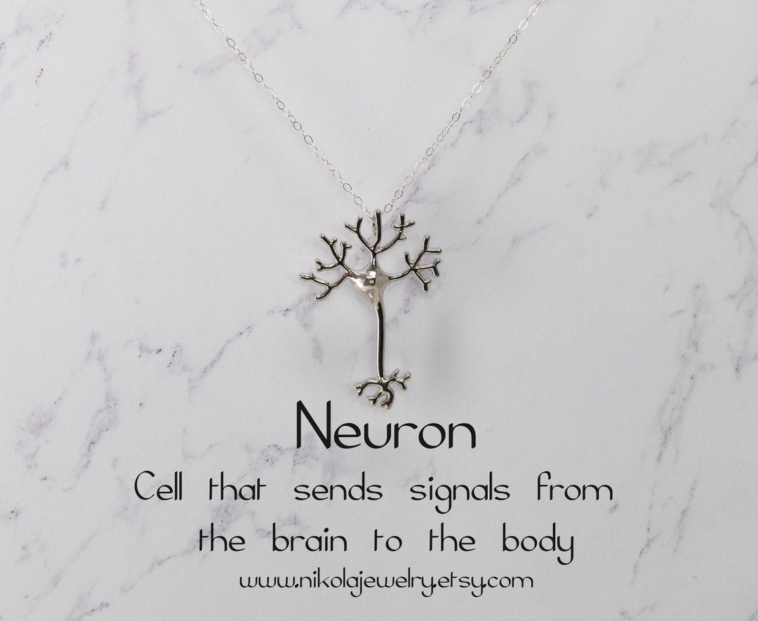 Silver Neuron Pendant: Sterling Silver Science Biology Necklace - Etsy