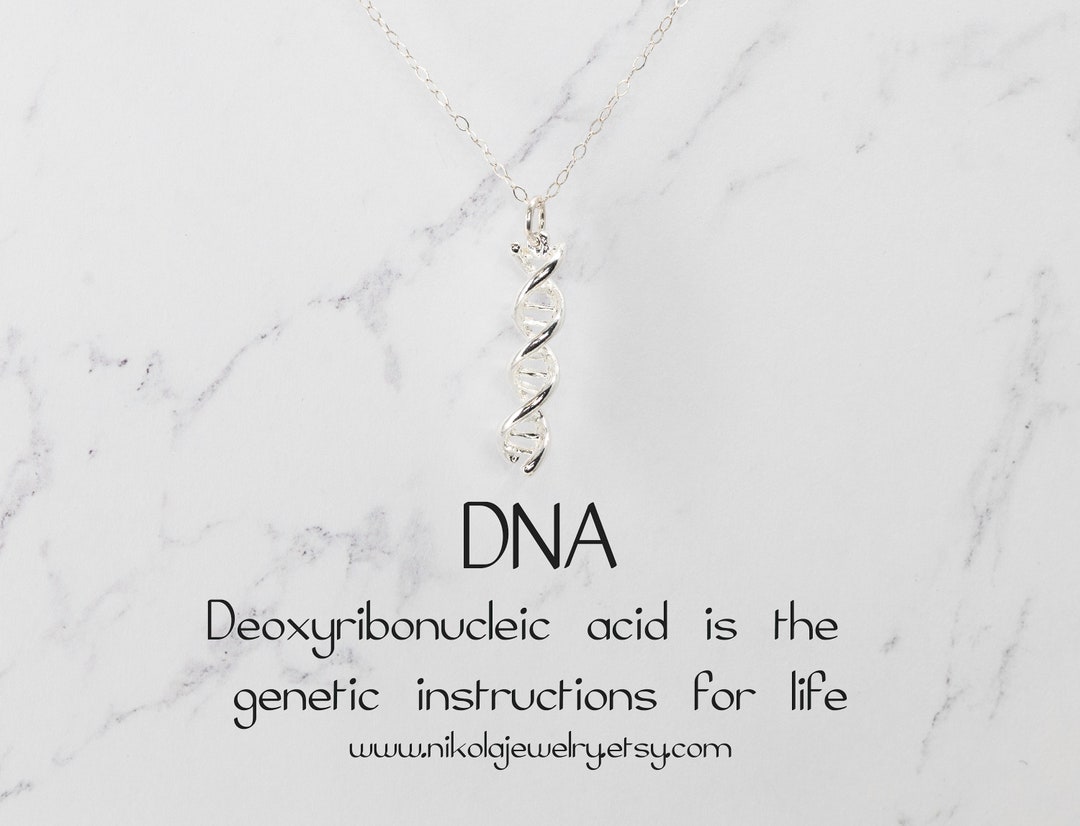Silver or Gold DNA Necklace or Bracelet, Science Jewelry, 3D DNA Double ...