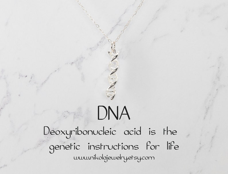 Silver or Gold DNA Necklace or Bracelet Science Jewelry 3D - Etsy