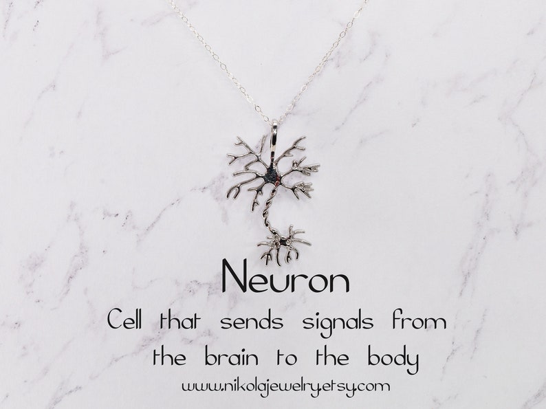 Neuron Necklace: Sterling Silver Science Jewelry, Biology Gift - Etsy
