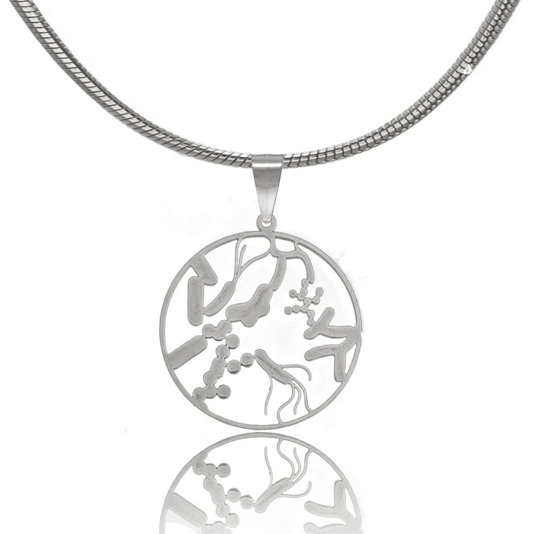 Microbiome Necklace in Gold or Silver, Bacteria Necklace, Gut Pendant ...