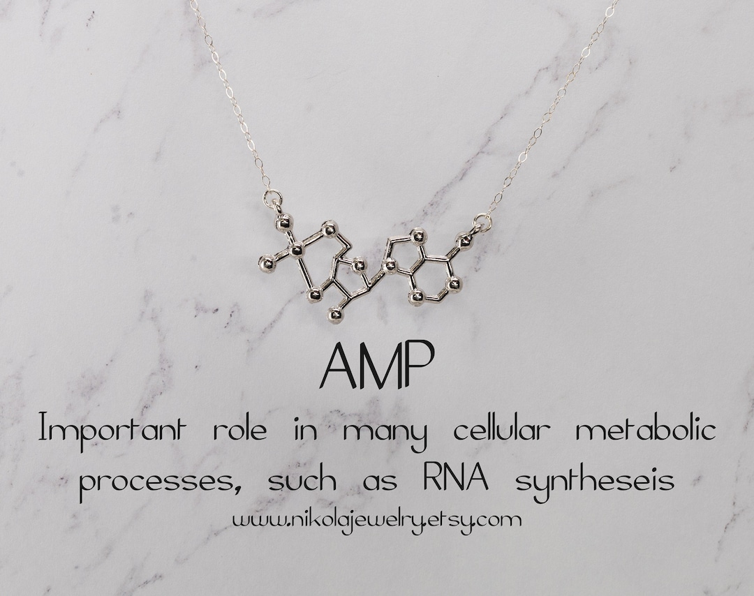 Silver AMP Necklace, RNA Necklace, Biology Jewelry, DNA Replication ...