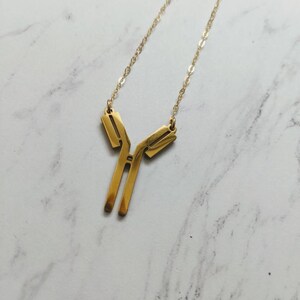 Antibody Necklace in Gold or Silver, Biology Necklace, Biology Gift ...