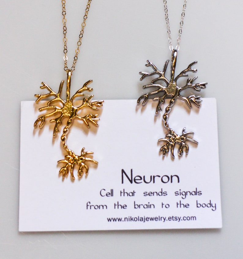 Neuron Necklace: Sterling Silver Science Jewelry, Biology Gift - Etsy