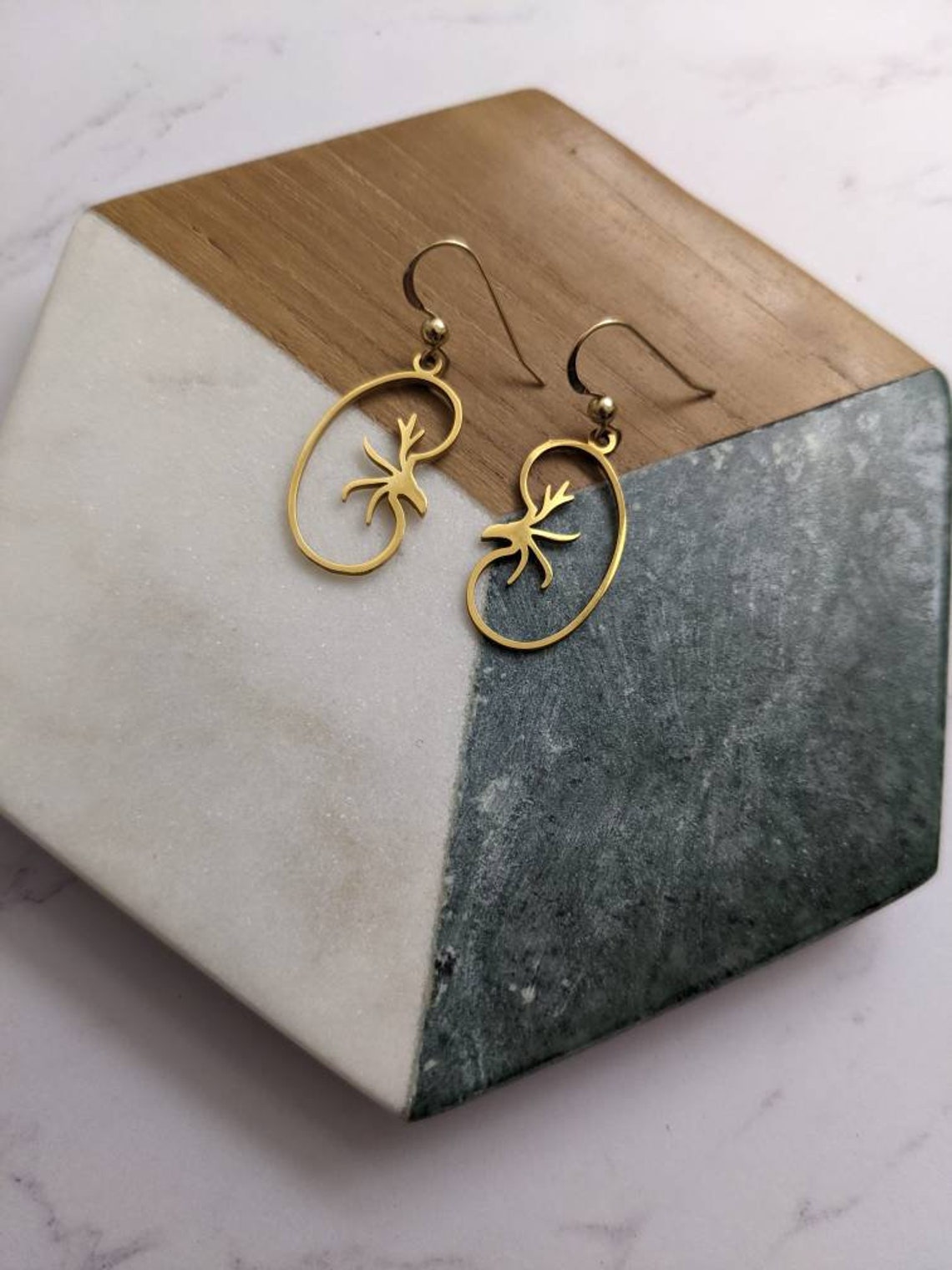 Kidney Earrings in Gold or Silver Kidney Transplant Pendant | Etsy