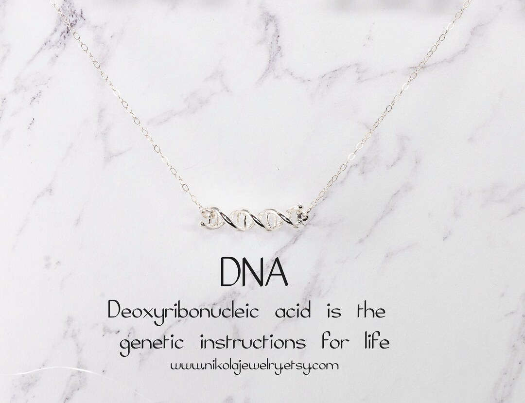 Silver or Gold DNA Necklace or Bracelet, Science Jewelry, 3D DNA Double ...