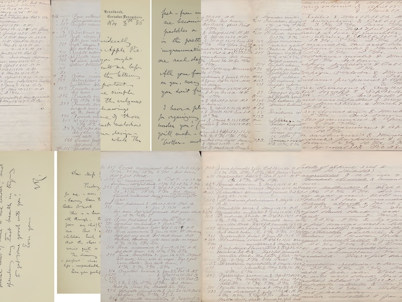 Vintage Handwriting, Handwritten Documents - Etsy