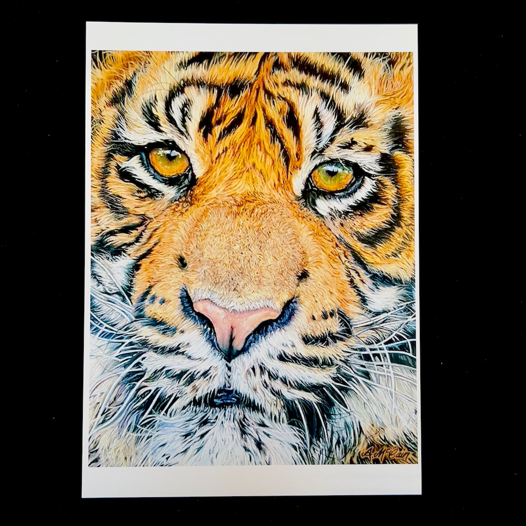 Tiger Print Gifts , Siberian Tiger Print, Tiger Face, A4 Print, Jungle ...
