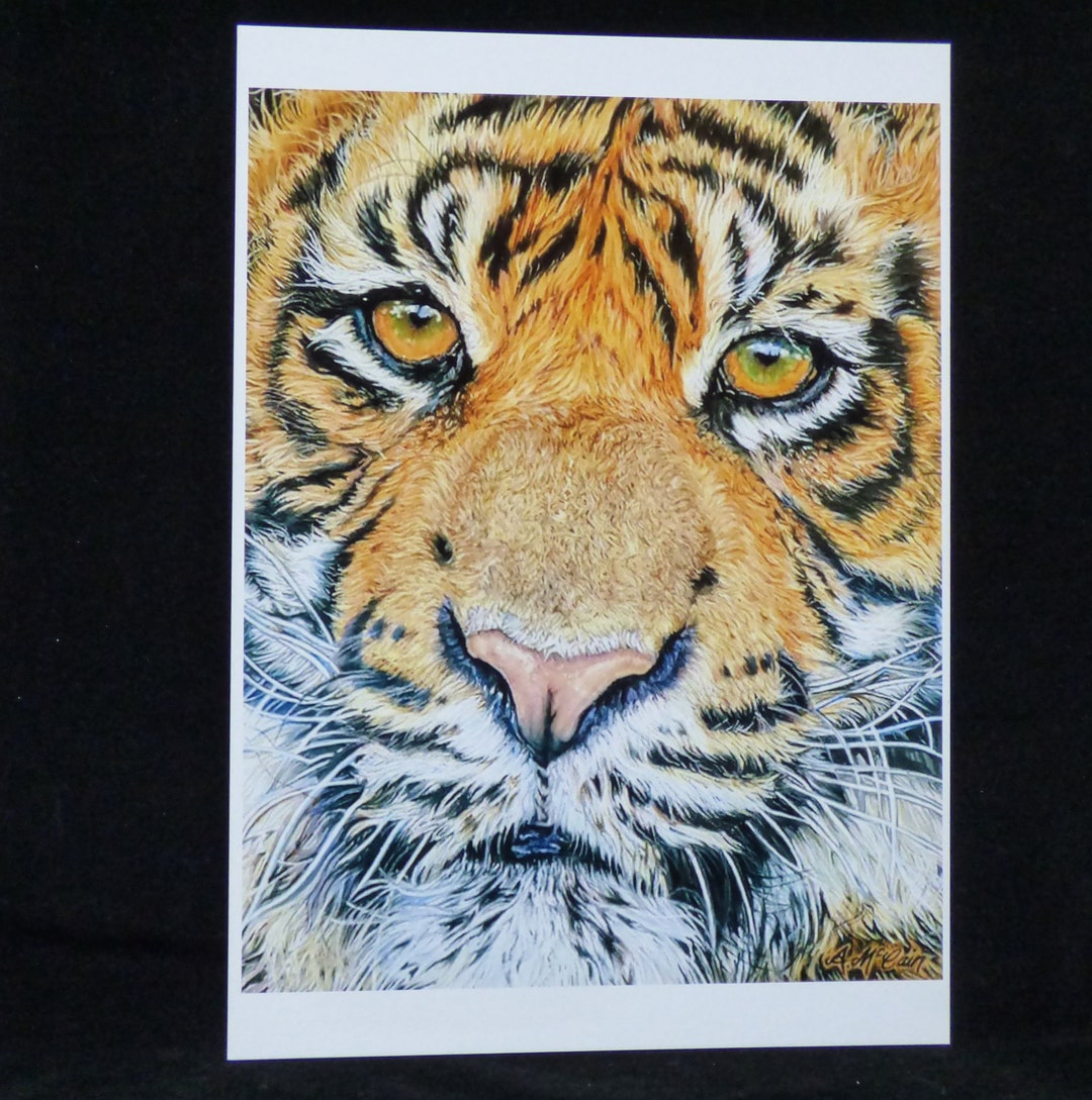 Tiger Print, Siberian Tiger, A4 Print Size, Jungle Theme, Ideal Gift ...