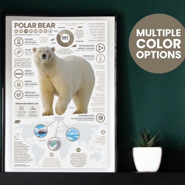 Polar Bear Poster - Etsy