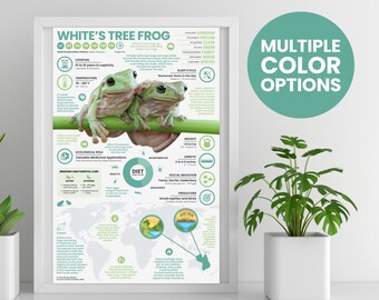 Tree Frog Poster - Etsy