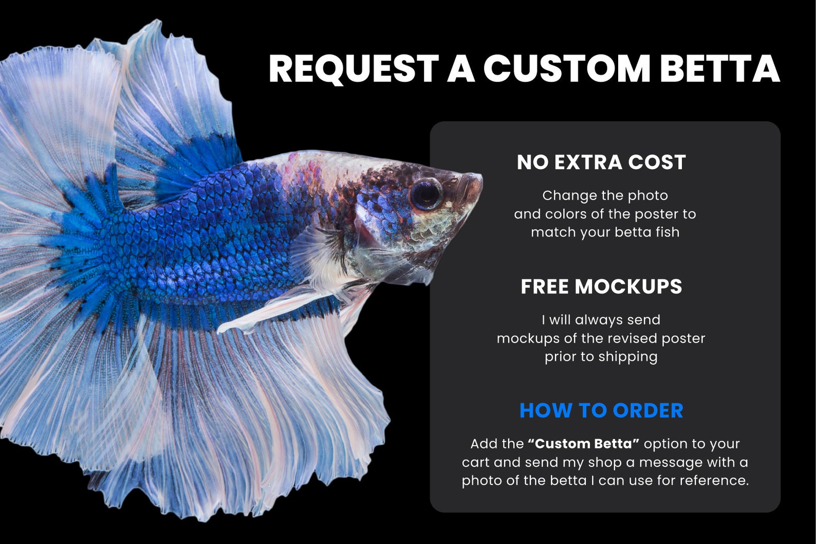 Betta Fish Poster | Wildlife Animal Infographic | Conservation ...