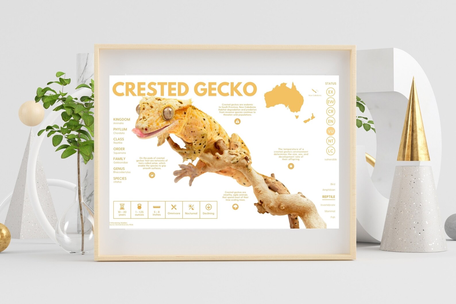 Crested Gecko Poster | Modern Wildlife Animal Infographic Print ...