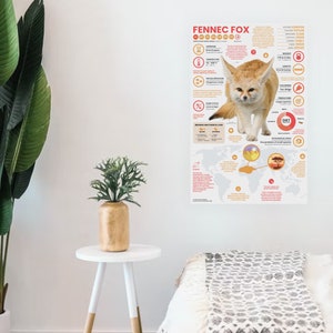 Fennec Fox Poster | Wildlife Animal Infographic | Conservation ...