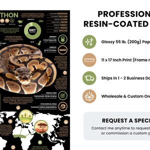 Ball Python Poster Snake Infographic Conservation - Etsy