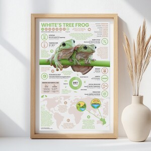 White's Tree Frog Poster | 11" X 17" Animal Infographic Print - Etsy