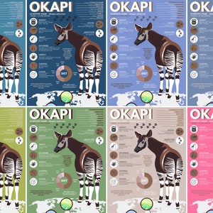 Okapi Print | Exotic Animal Infographic Poster Ft. Original Digital ...