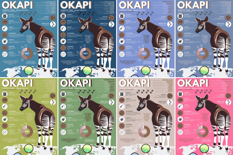 Okapi Print | Exotic Animal Infographic Poster Ft. Original Digital ...