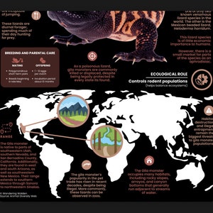 Gila Monster Poster | Reptile Infographic | Conservation Education (11 ...