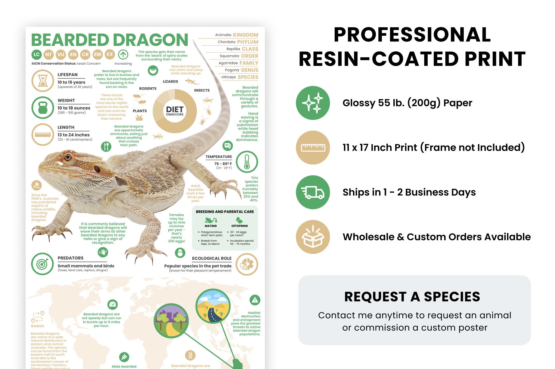 Bearded Dragon Poster Reptile Print Wildlife Animal - Etsy