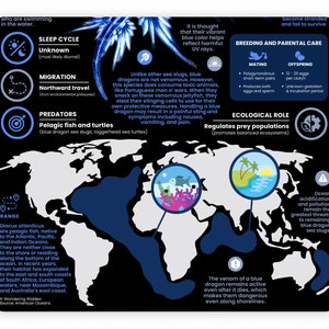 Blue Dragon Sea Slug Poster | Glaucus Atlanticus Animal Infographic ...