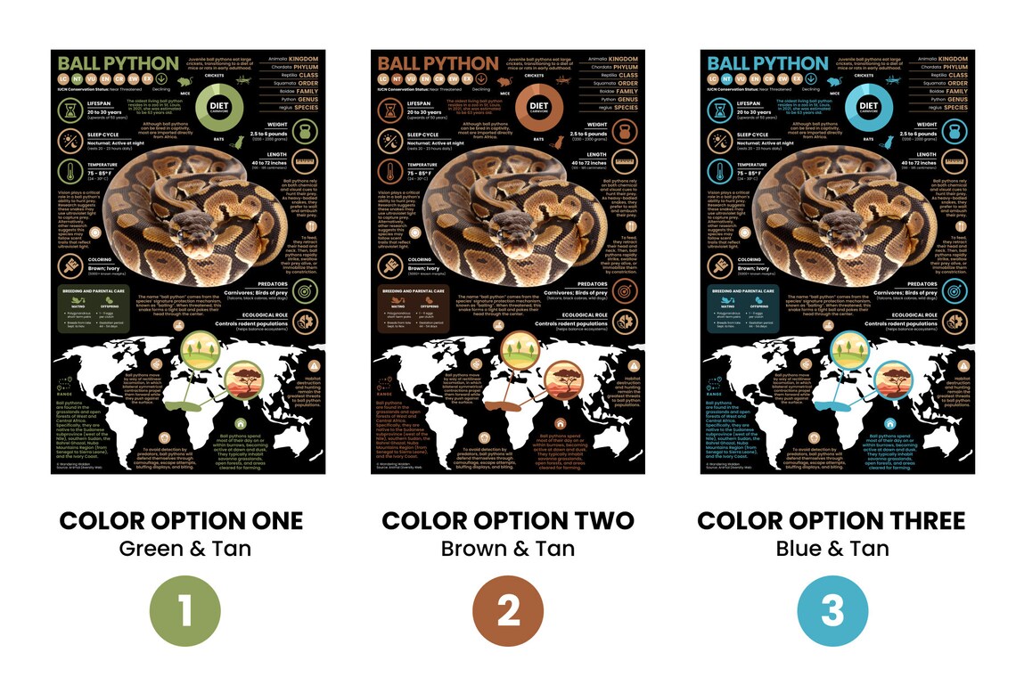 Ball Python Poster Snake Infographic Conservation - Etsy