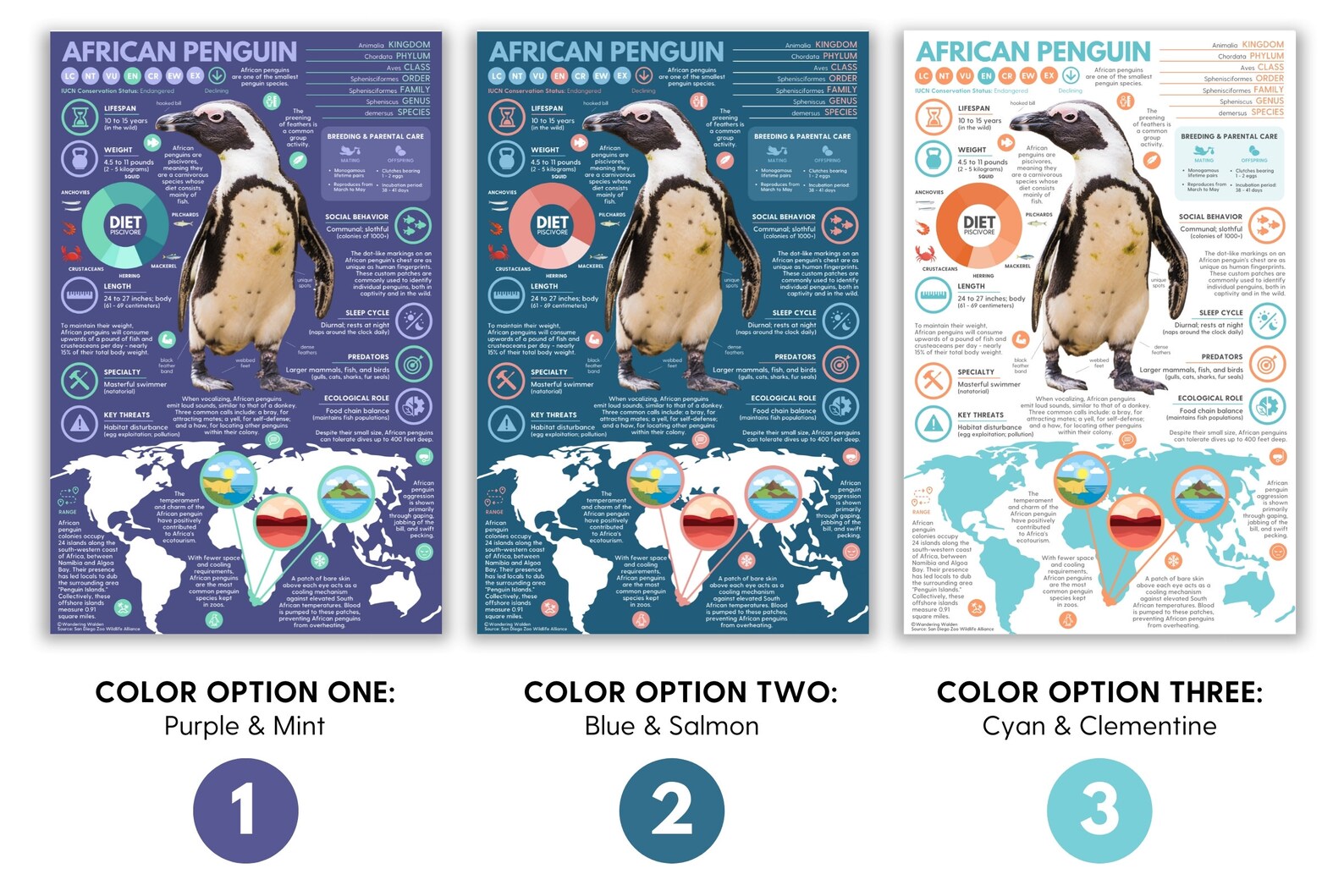 African Penguin Poster | Wildlife Animal Infographic Print ...