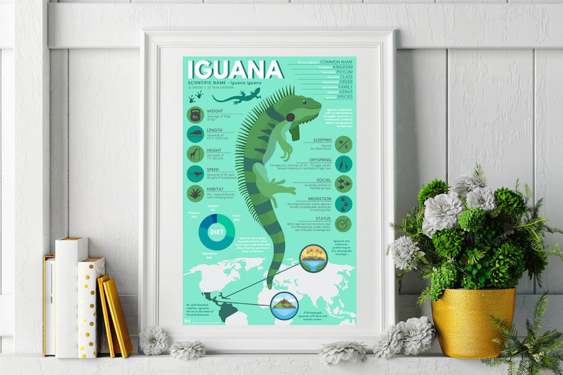 Green Iguana Print | Exotic Animal Infographic Poster Ft. Original ...