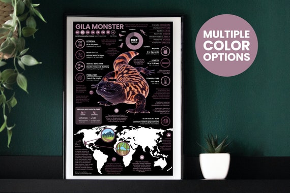Gila Monster Poster Reptile Infographic Conservation - Etsy