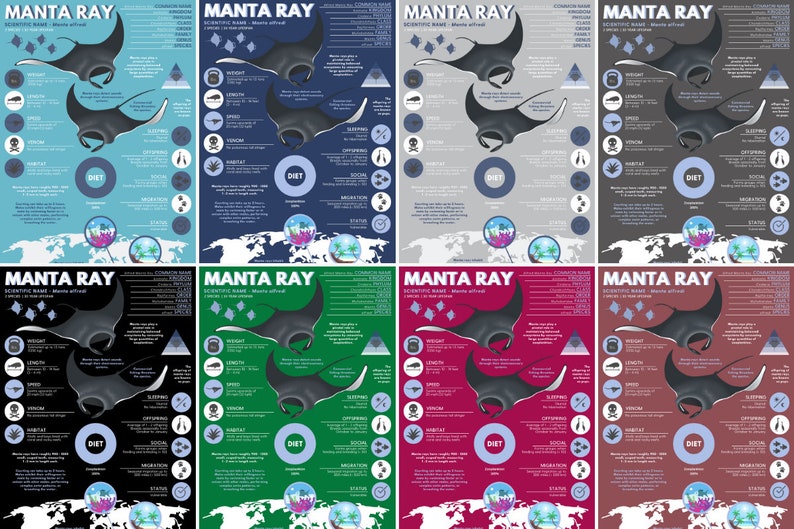 Manta Ray Print | Exotic Animal Infographic Poster Ft. Original Digital ...