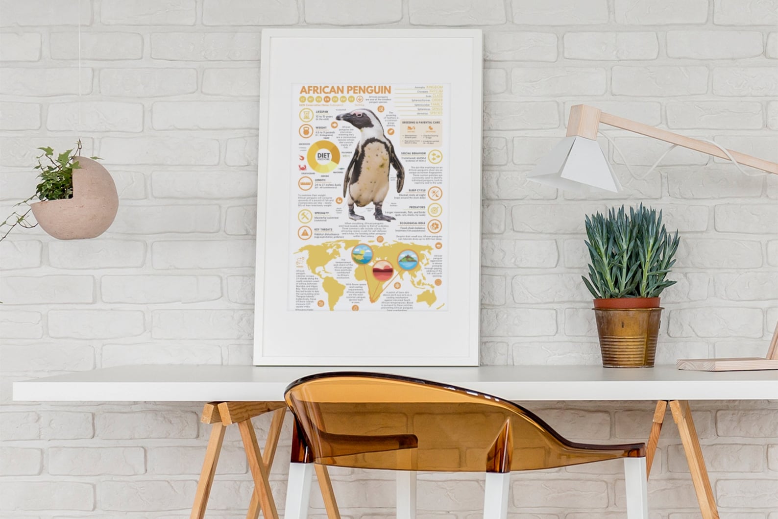 African Penguin Poster | Wildlife Animal Infographic Print ...