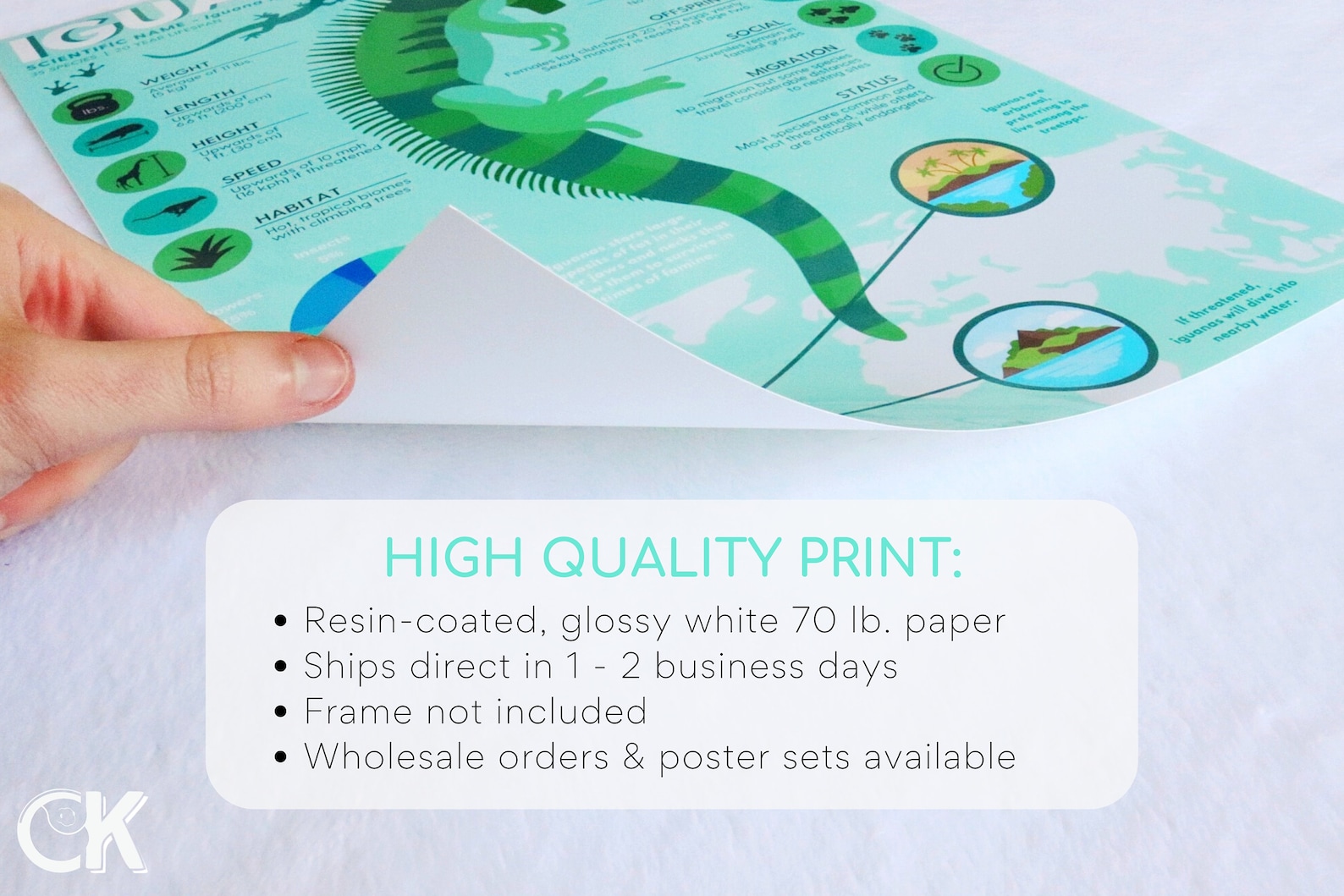 Green Iguana Print | Exotic Animal Infographic Poster Ft. Original ...