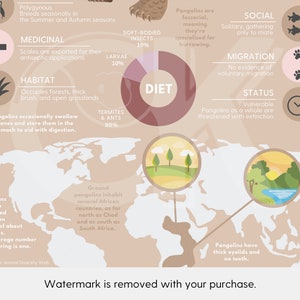 Ground Pangolin Print | Exotic Animal Infographic Poster Ft. Original ...