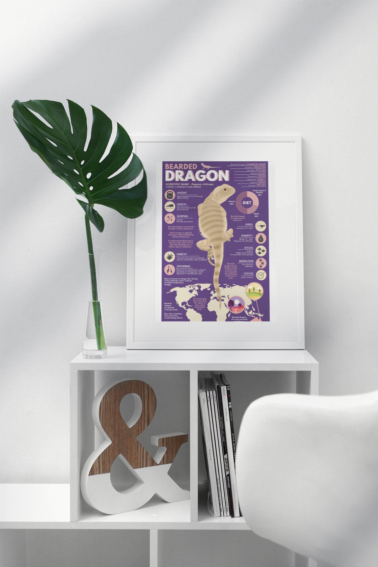Bearded Dragon Print Animal Infographic Poster Ft. Original - Etsy Canada