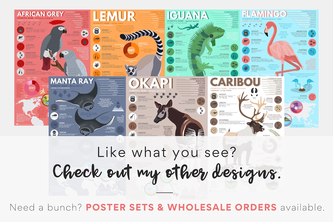 Caribou (reindeer) Print | Exotic Animal Infographic Poster Ft ...