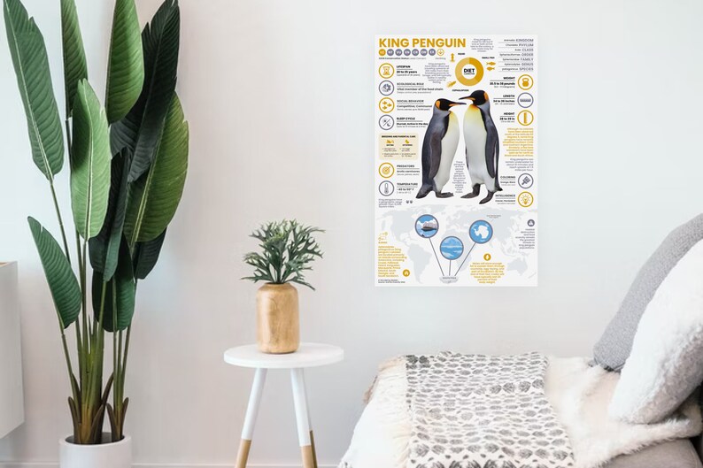 King Penguin Poster | Wildlife Animal Infographic | Conservation ...