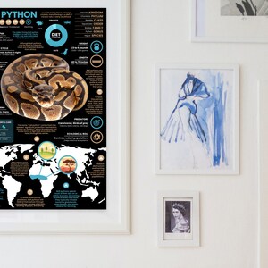 Ball Python Poster Snake Infographic Conservation - Etsy