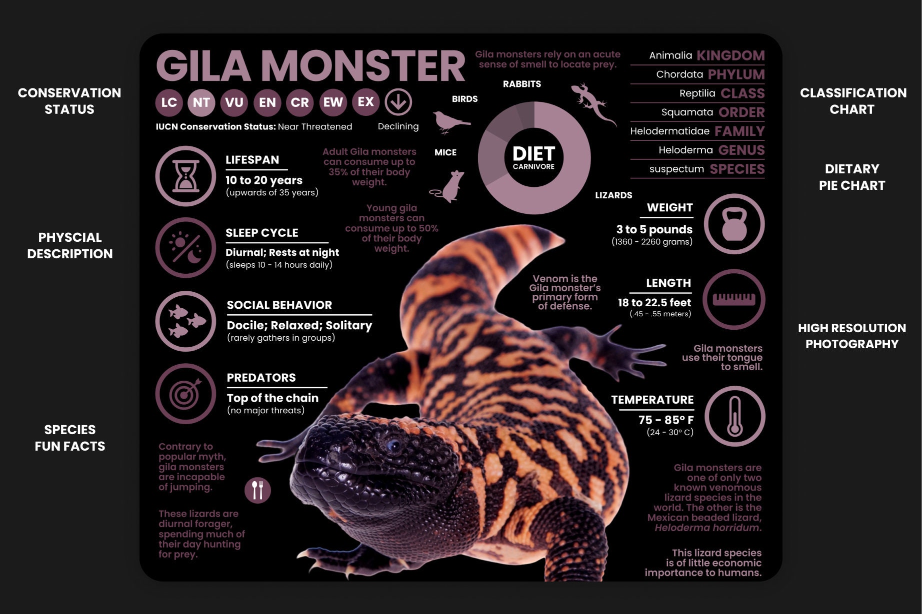 Gila Monster Classification