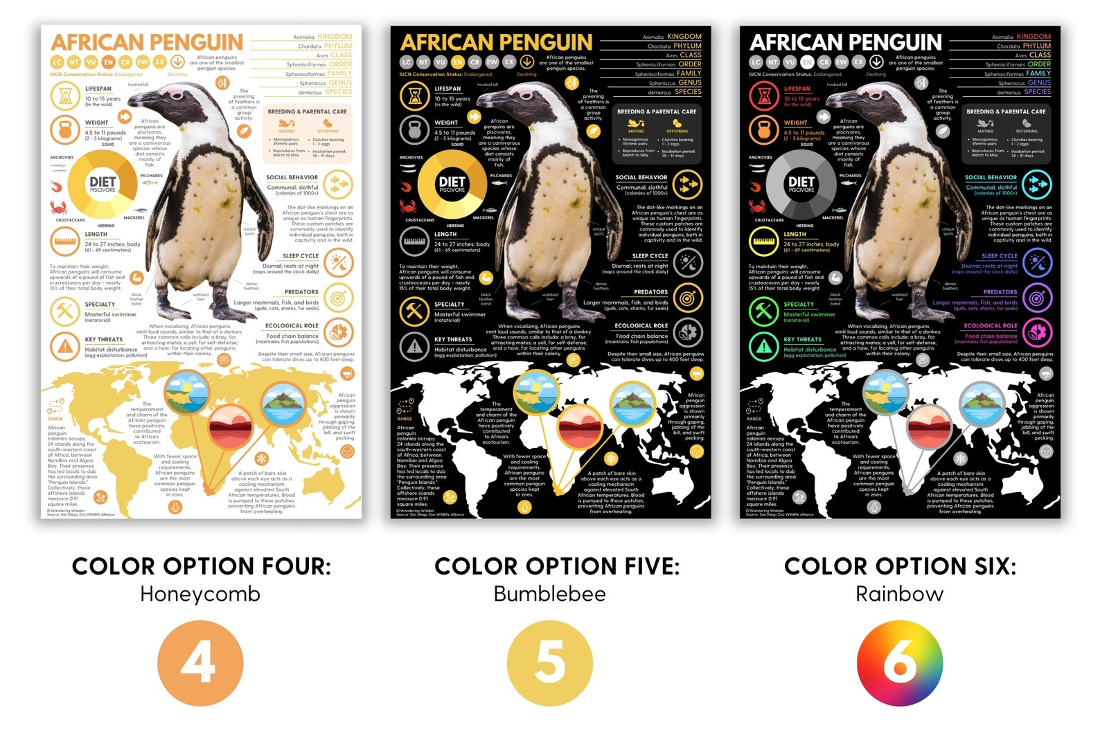 African Penguin Poster Wildlife Animal Infographic Print - Etsy