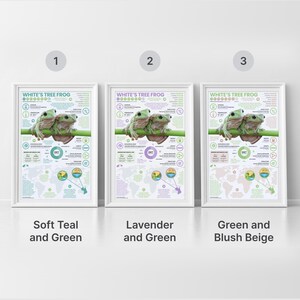 White's Tree Frog Poster | 11" X 17" Animal Infographic Print - Etsy