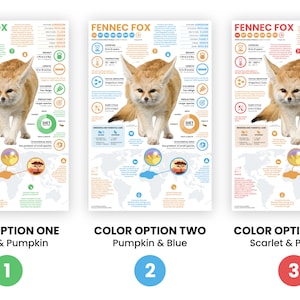 Fennec Fox Poster | Wildlife Animal Infographic | Conservation ...
